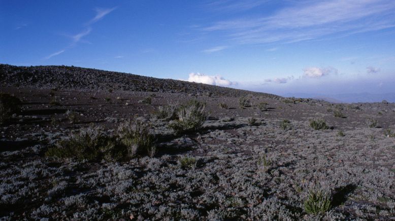 Naturparadiese am Äquator (S1/F3) im TV Programm: 09:50 - 16.12 ...