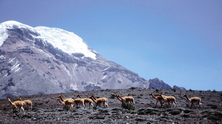 Naturparadiese am Äquator (S1/F3) im TV Programm: 09:50 - 16.12 ...